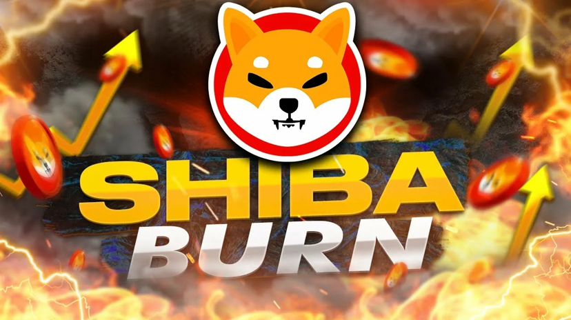 Shibburn Tracker reports 24 million SHIB tokens burned in the last 24 ...