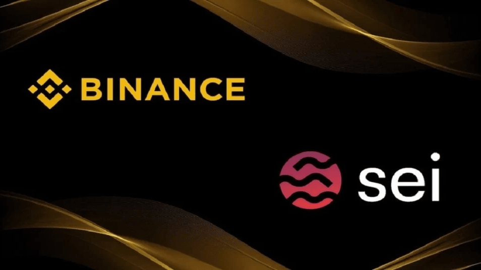 SEI Coin Price Prediction and Expert Guide | Crypto Ahmet on Binance Square