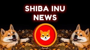 🚨😱 Shiba Inu Loses Key Support: Road to Regaining Momentum | The ...