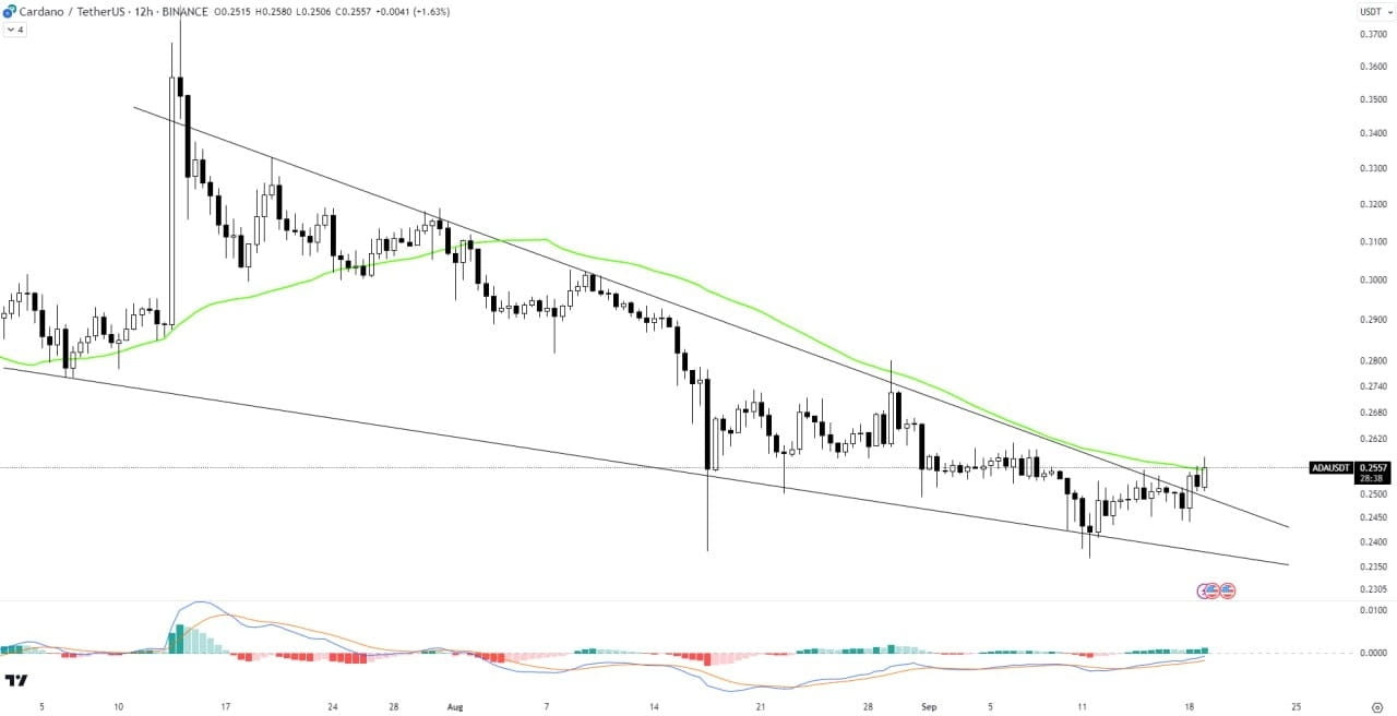 #ADA/USDT ANALYSIS ADA breakout the falling wedge and rete | Insider ...