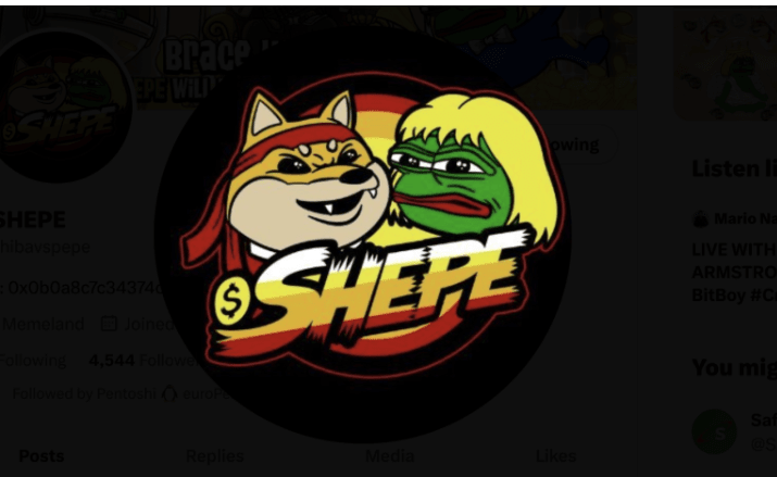 Is Shepe Memecoin Real? Shepe is a new memecoin that has | Remotecrypto ...