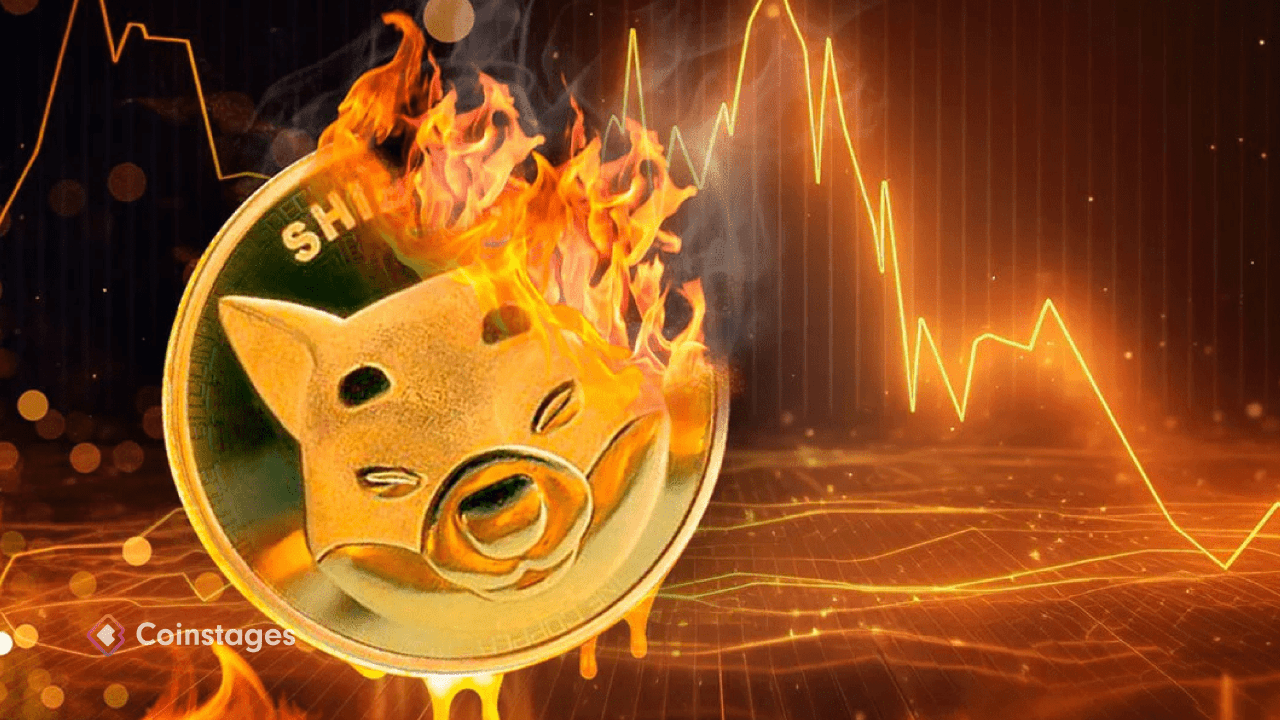 SHIB Burn Rate Shows Mysterious Plunge Despite Recent Statements From SHIB Team | Coinstages on ...