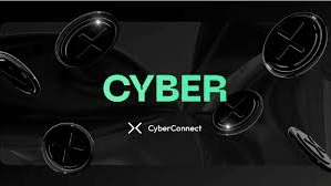 Cyber Coin Prediction Price 2023-2025: What is the Future of Cyber ...