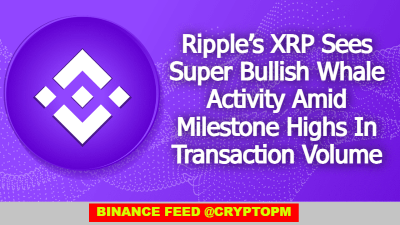 XRP Sees Surge in Activity and Utility Amid Ripple's Legal Battle with SEC | Crypto PM on ...