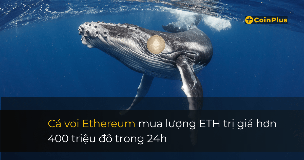 Whale #Ethereum bought $400 million worth of #ETH in 1 day | Coinplus ...