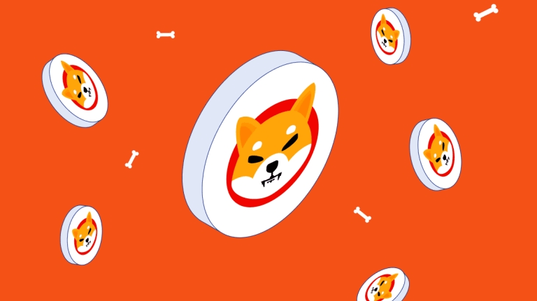 Shiba Inu: Only 12% Of SHIB Holders Are in Profits | Learn_With_Fullo on Binance Square