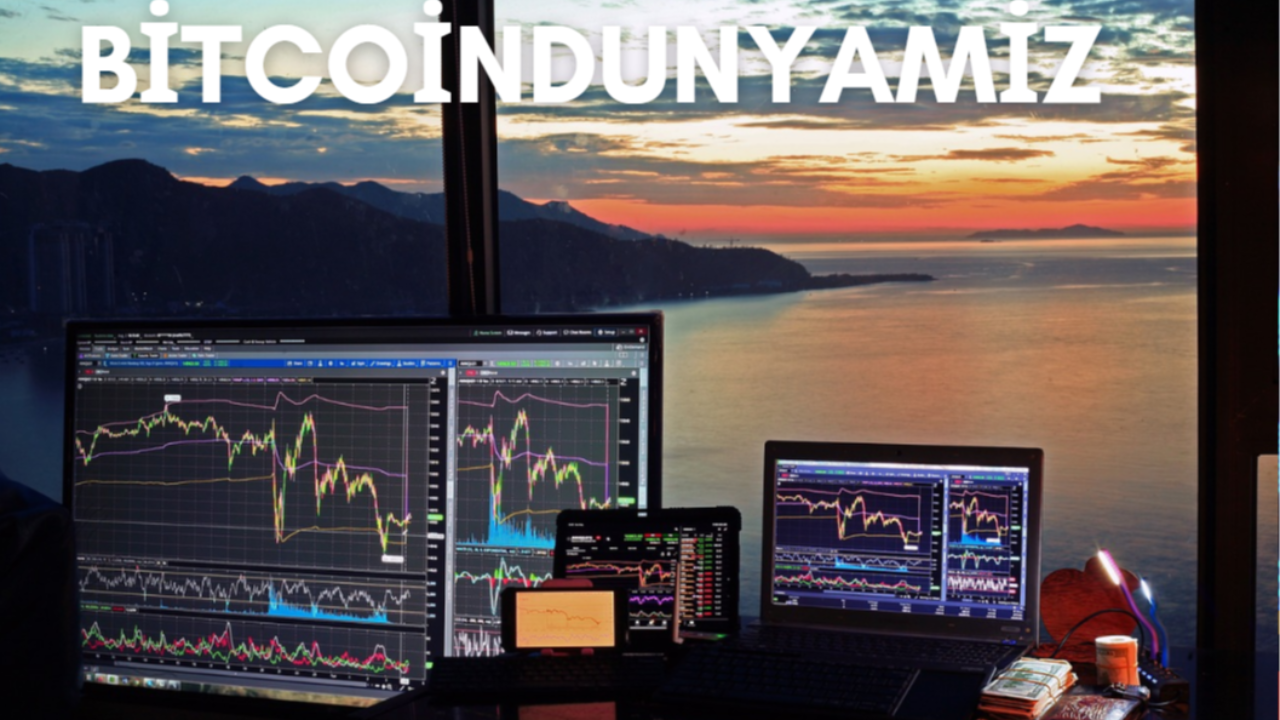 While Bitcoin Cash (BCH) Price Falls, Whale Activity Increases | Bitcoindunyamiz on Binance Square