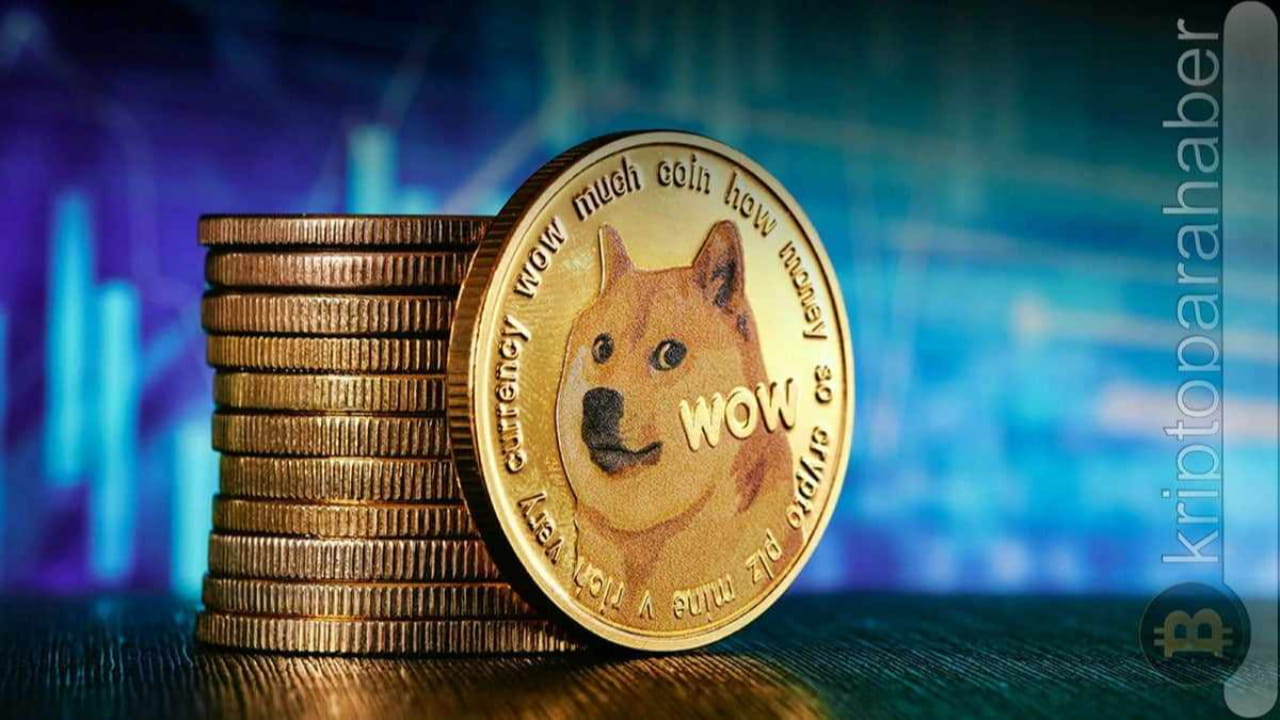 Dogecoin price is at risk: How will FTX liquidation affect DOGE price? | Kripto Para Haber on ...