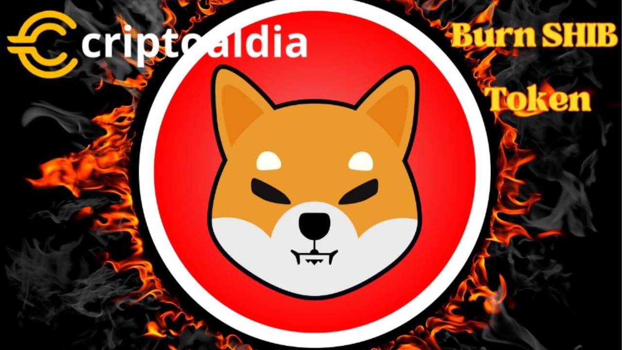 What will the new Shib token burning portal be like? we show it to you ...