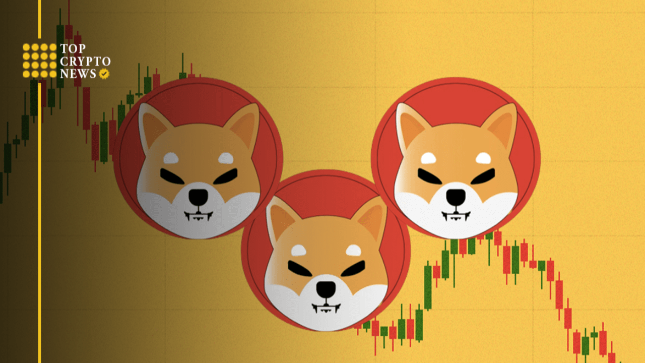 SHIB erases nearly $2 billion from its market cap in a month ...