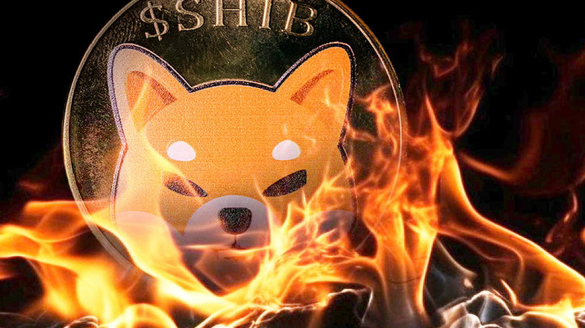 Shibarium Surpasses 1 Million Wallets as Millions of SHIB Go Up in ...