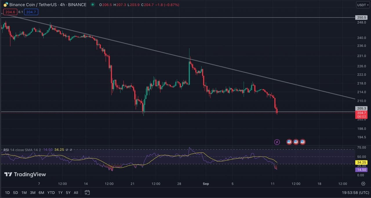 #BNB price is right at that solid $205 level, which I point | Eros ...