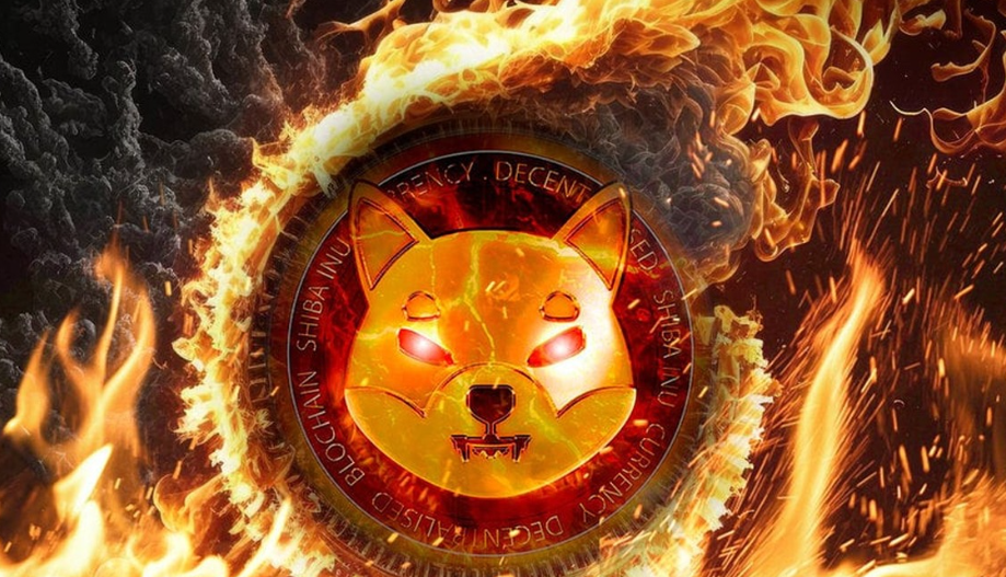 Over Half Billion SHIB Burned in Quiet Shiba Inu Week: Detai | Crypto Web3 Today on Binance Square