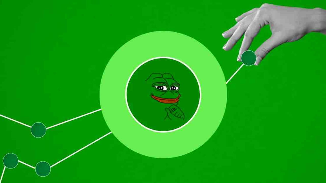 Pepe Coin: An Incredible Climb and Serious Losses | koinmilyoner on ...