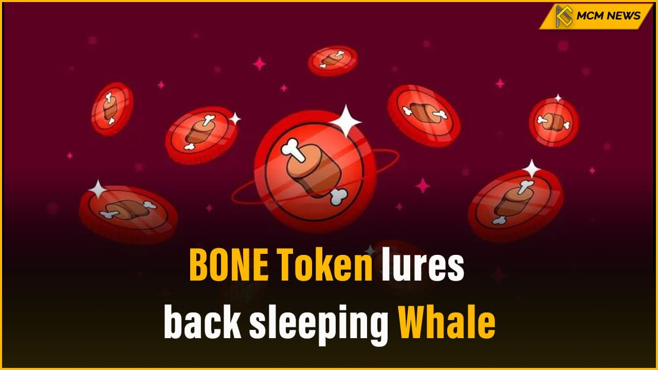 BONE Token Lures Back Sleeping Whale | Myan Crypto on Binance Square