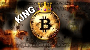 Moment when realized why Bitcoin is king🙌🔥 | The Buzzing Bee on Binance Square