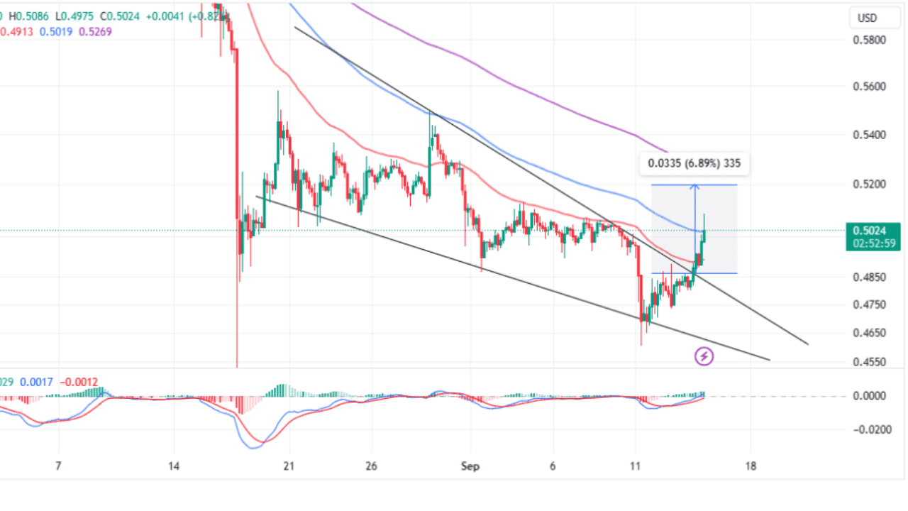 XRP Price Prediction: XRP Holders Prepare for Ripple’s Victory Party ...
