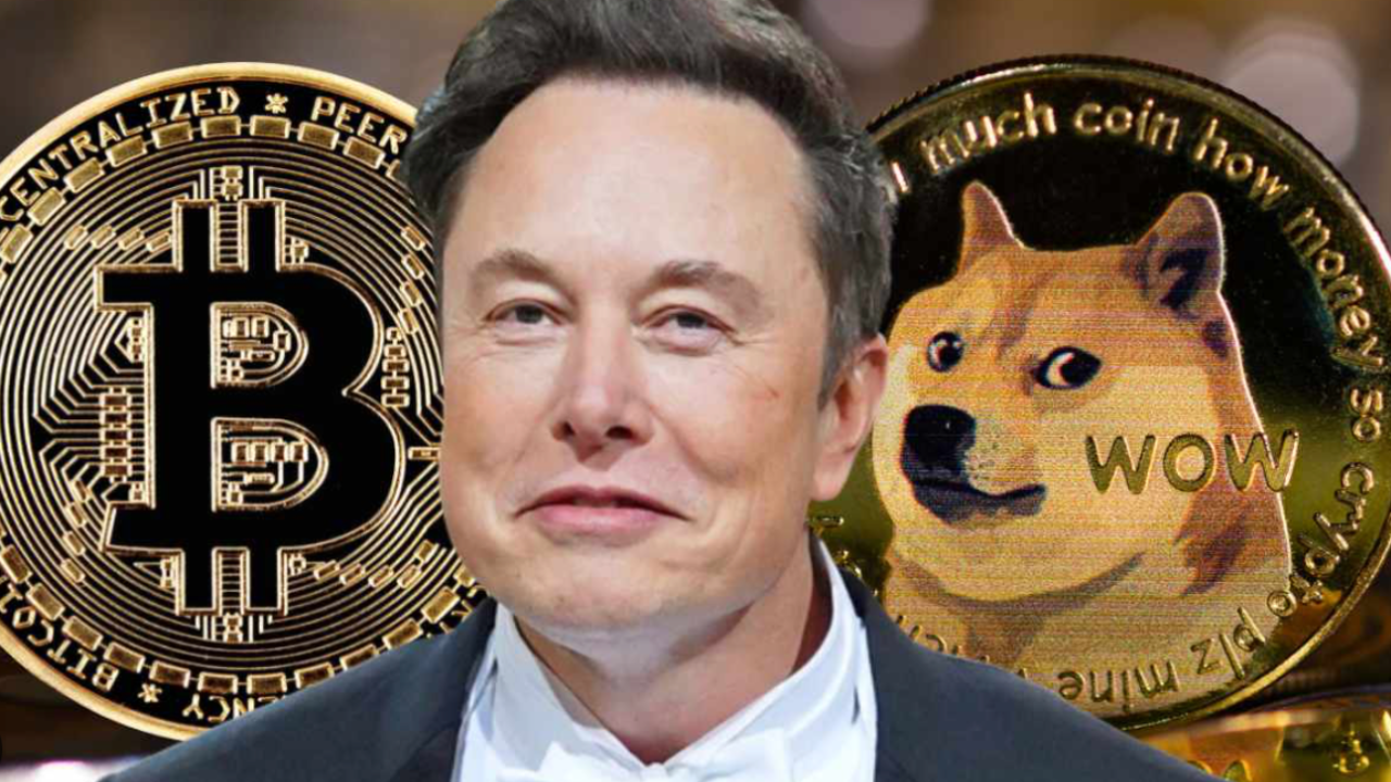 Elon Musk's Engaging Conversation with Dogecoin's Designer | SpaceCatch ...