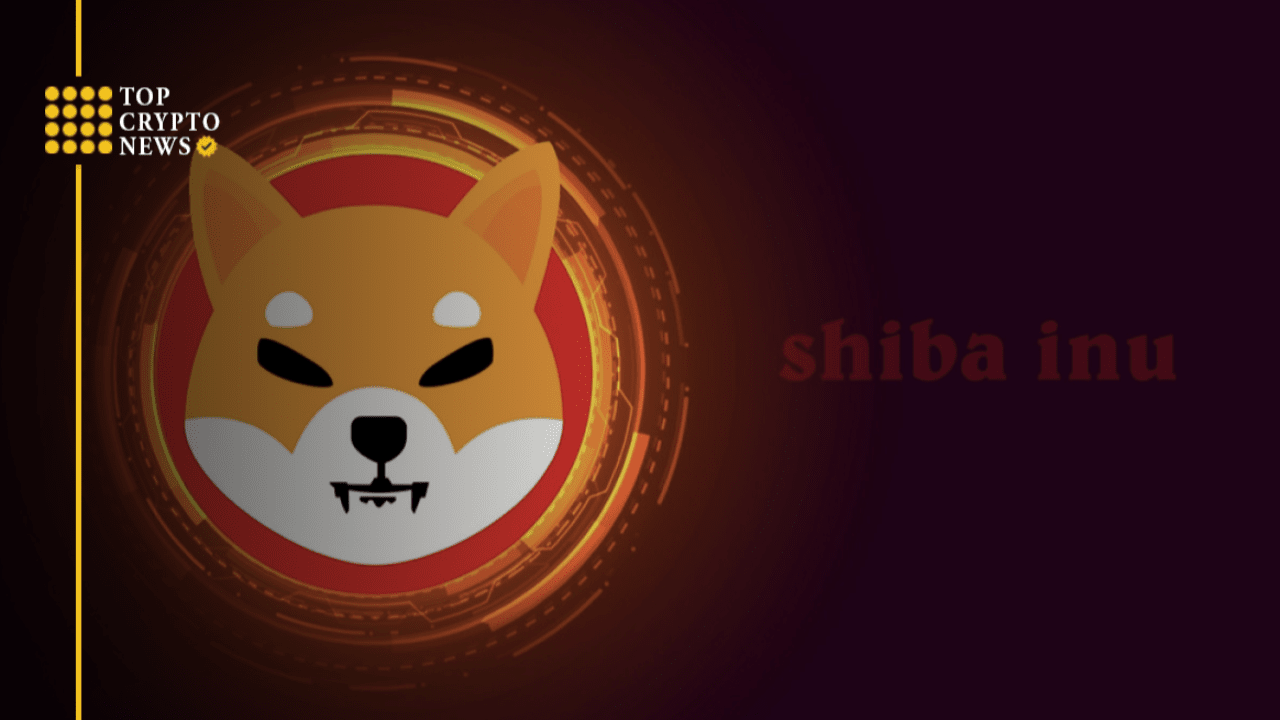 Shiba Inu (SHIB) Might See Shocking Reversal: Details | TopCryptoNews on Binance Square
