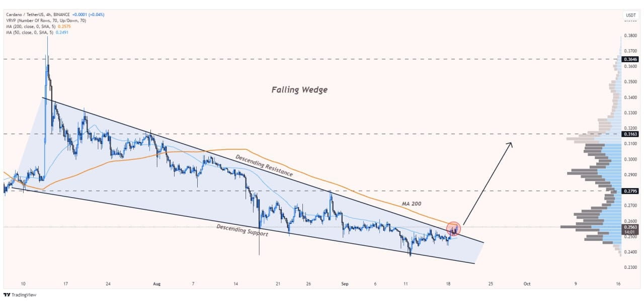 $ADA We broke out of a falling wedge pattern📈 $ADA is cu | Anurag ...