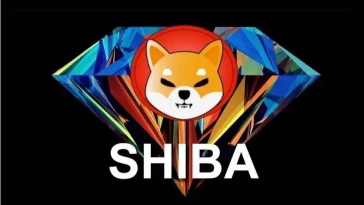 SHIB Price Prediction: Shiba Inu shows signs of new lifeline, but there’s a catch | 海绵进化论 on ...