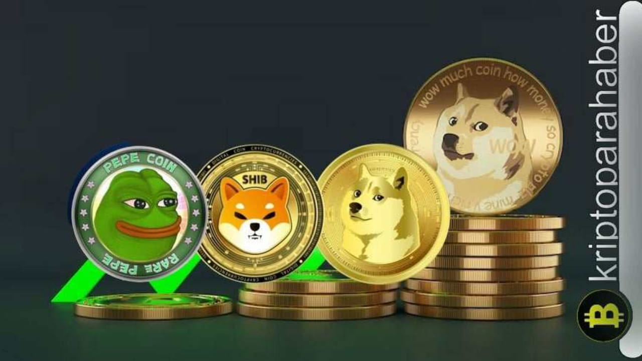 The best performing meme coins amid the bear market… | Kripto Para ...