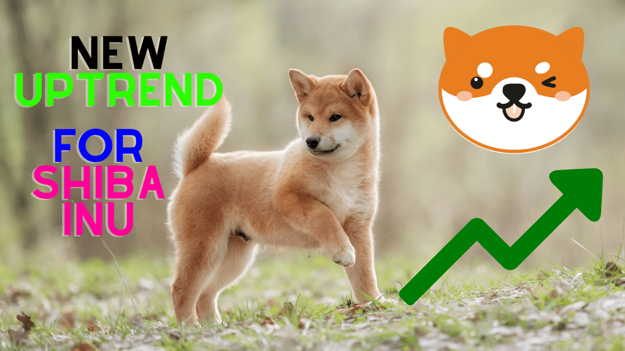 New Trend, New Goal for Shiba Inu (SHIB) | ilker Yıldız on Binance Square