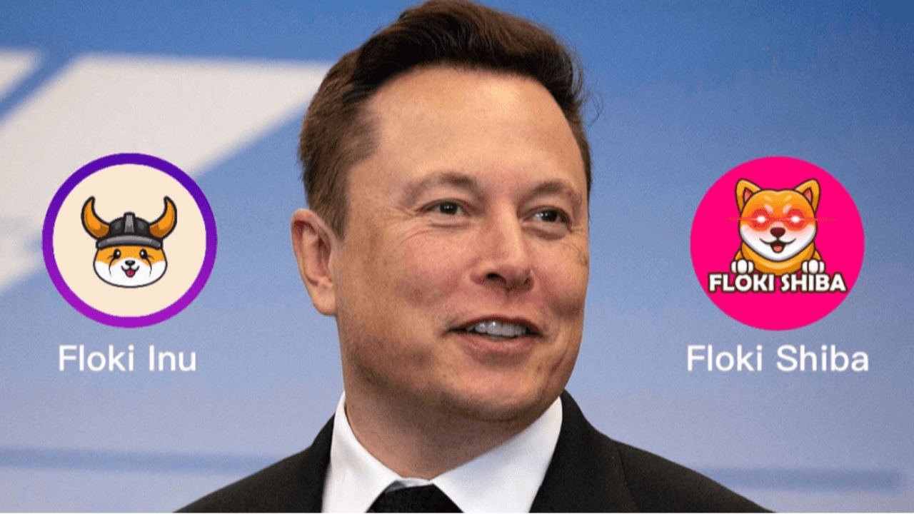 What is the origin of "FLOKI" named after Musk's new pet? This article explores FLOKI’s ...