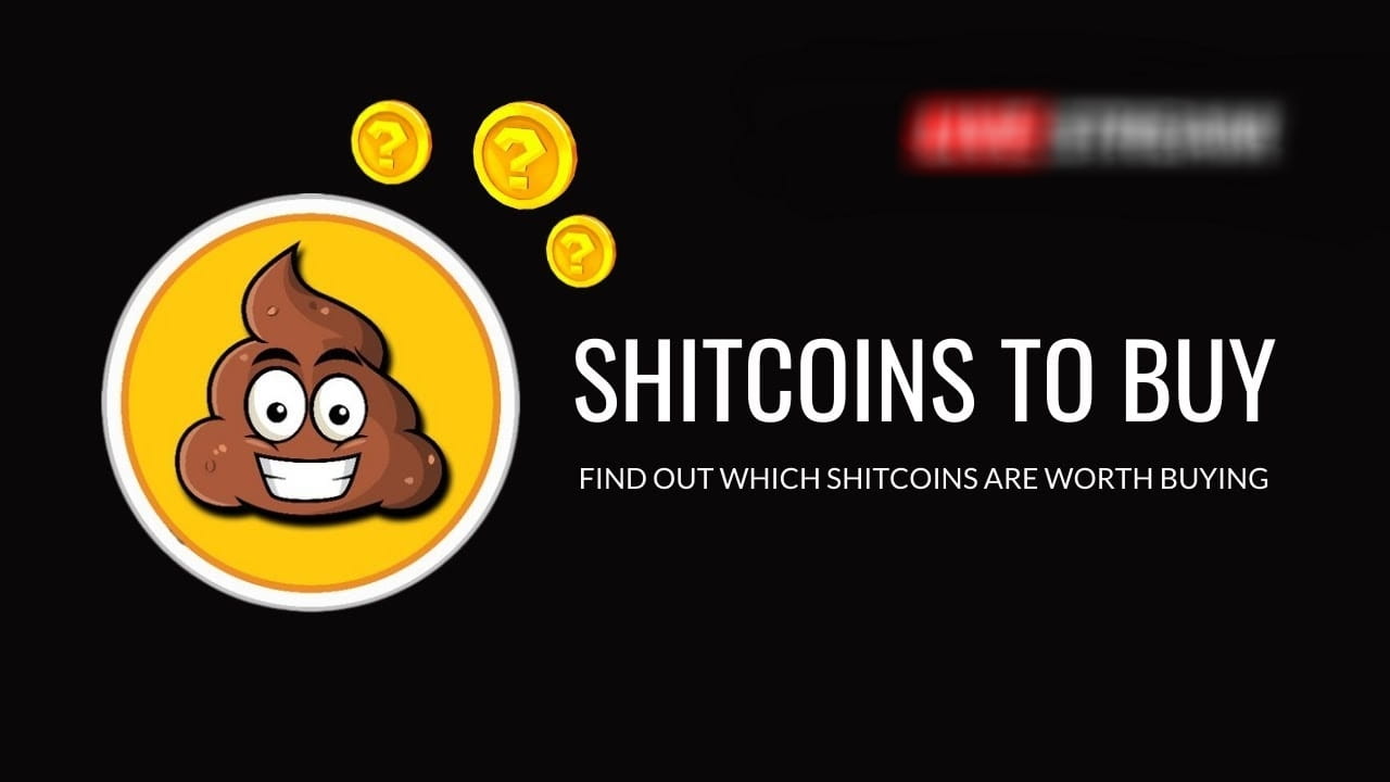 Top 5 Shitcoins to Purchase in the Year 2023 ‼READ BELOW‼ | The Buzzing ...
