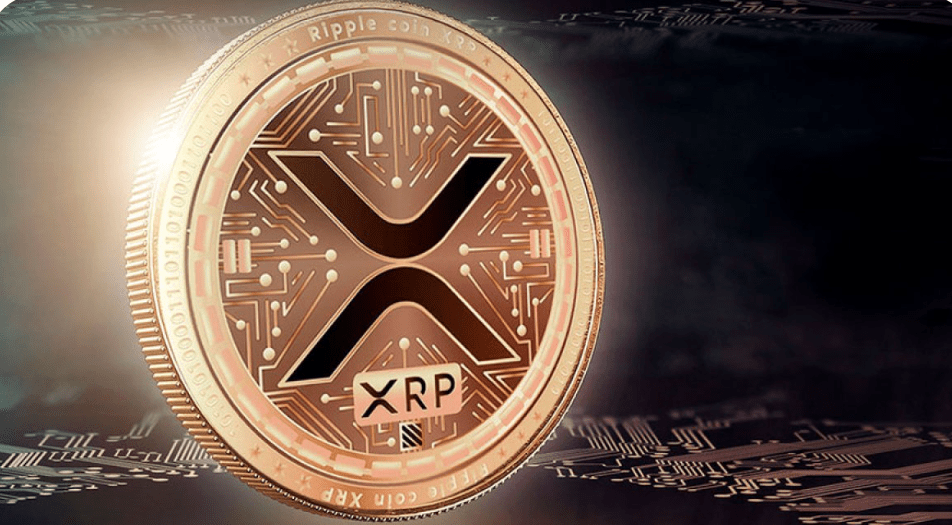 XRP Top Wallet Unveils Exciting News for XRP Holders. XRP L | Crypto ...