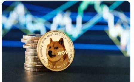 Machine learning algorithm sets DOGE price for October 31, 2 | zyki on ...