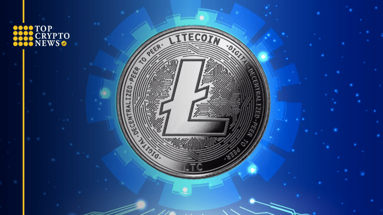 Litecoin sees a spike in on-chain activity- but what’s next for LTC ...