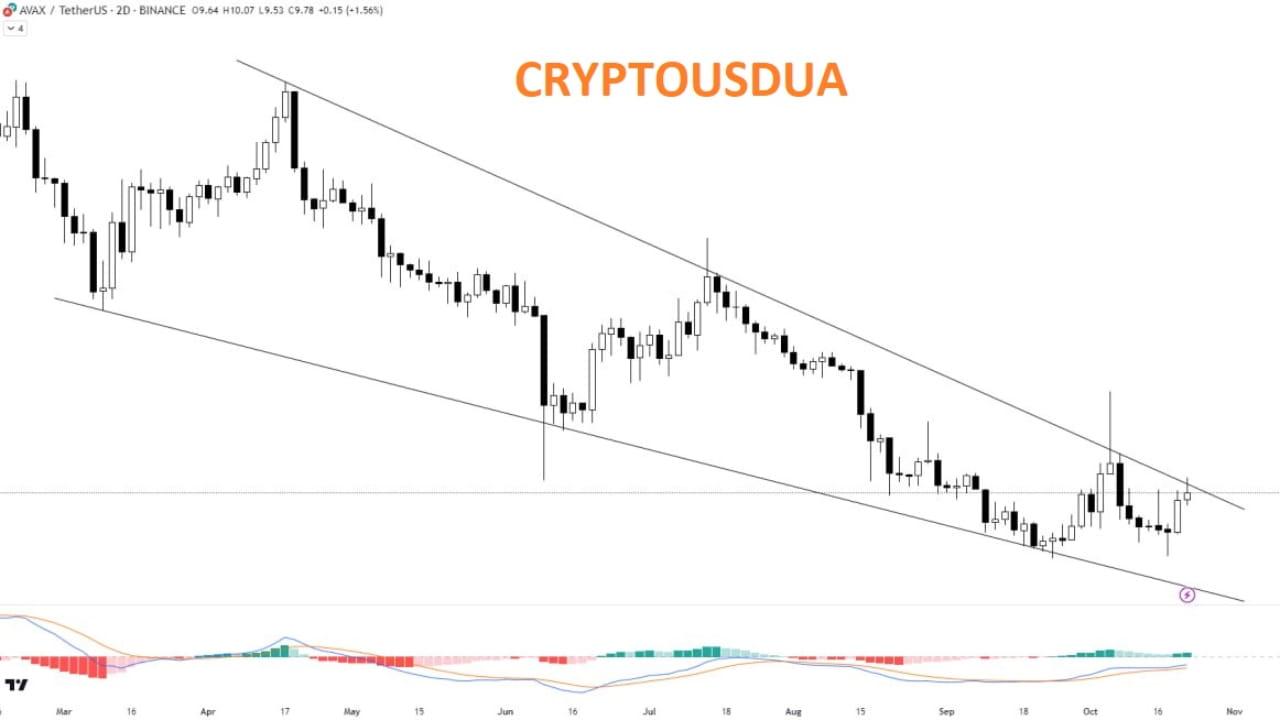 AVAX/USDT Analysis: Avalanche at a Glance | CRYPTOUSDUA on Binance Square