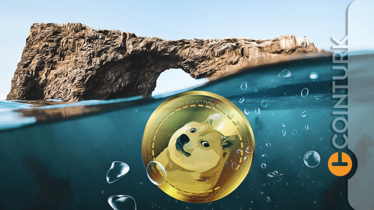 Dogecoin Comment from the Expert! Decision Time for DOGE: Either OK or ...