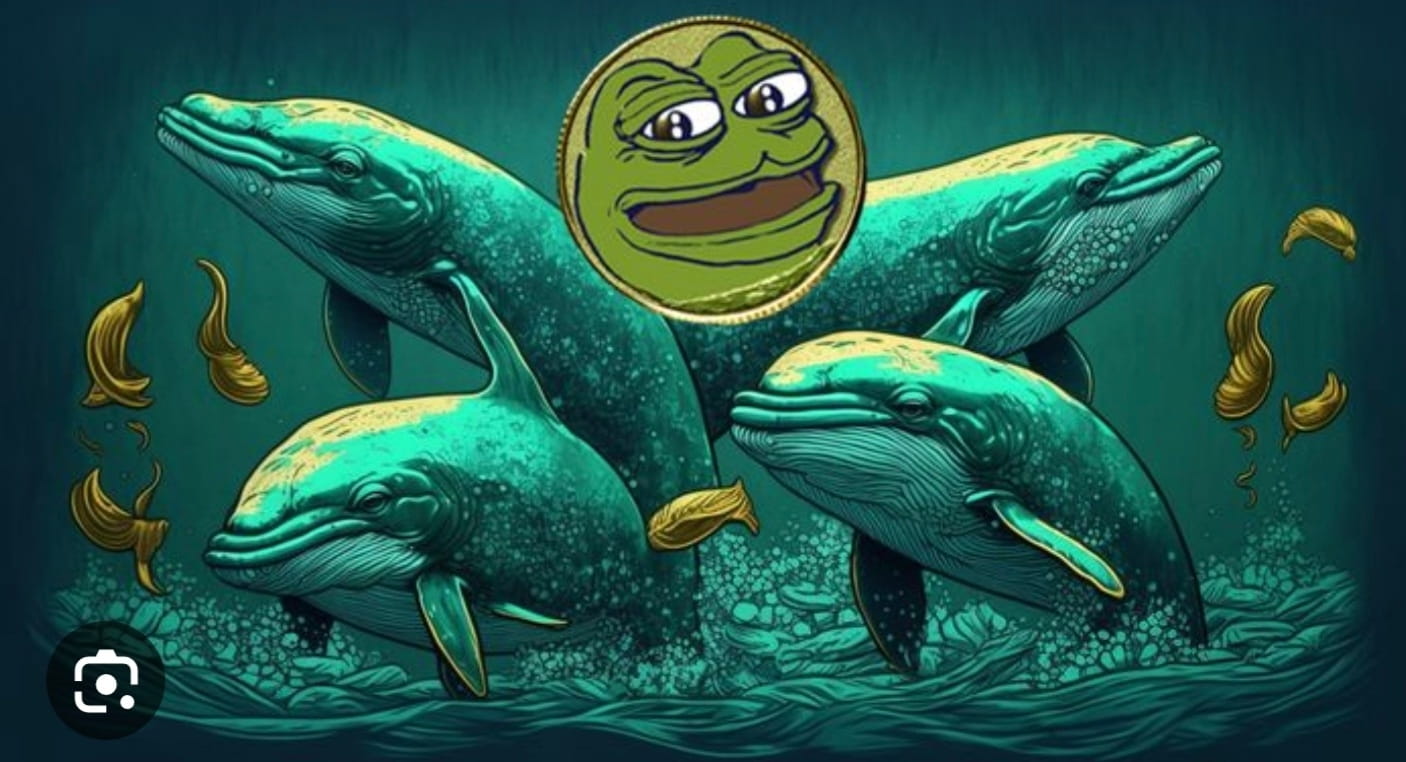 PEPE WHALE ACCUMULATED 1. 89 TRILLION PEPE JUST 08 HOURS A | RDV1970 on Binance Square