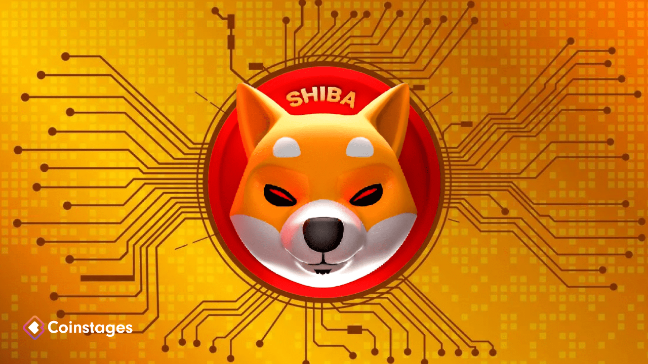 Shiba Inu-Based NFT Project Announces Launch Date on Shibarium ...