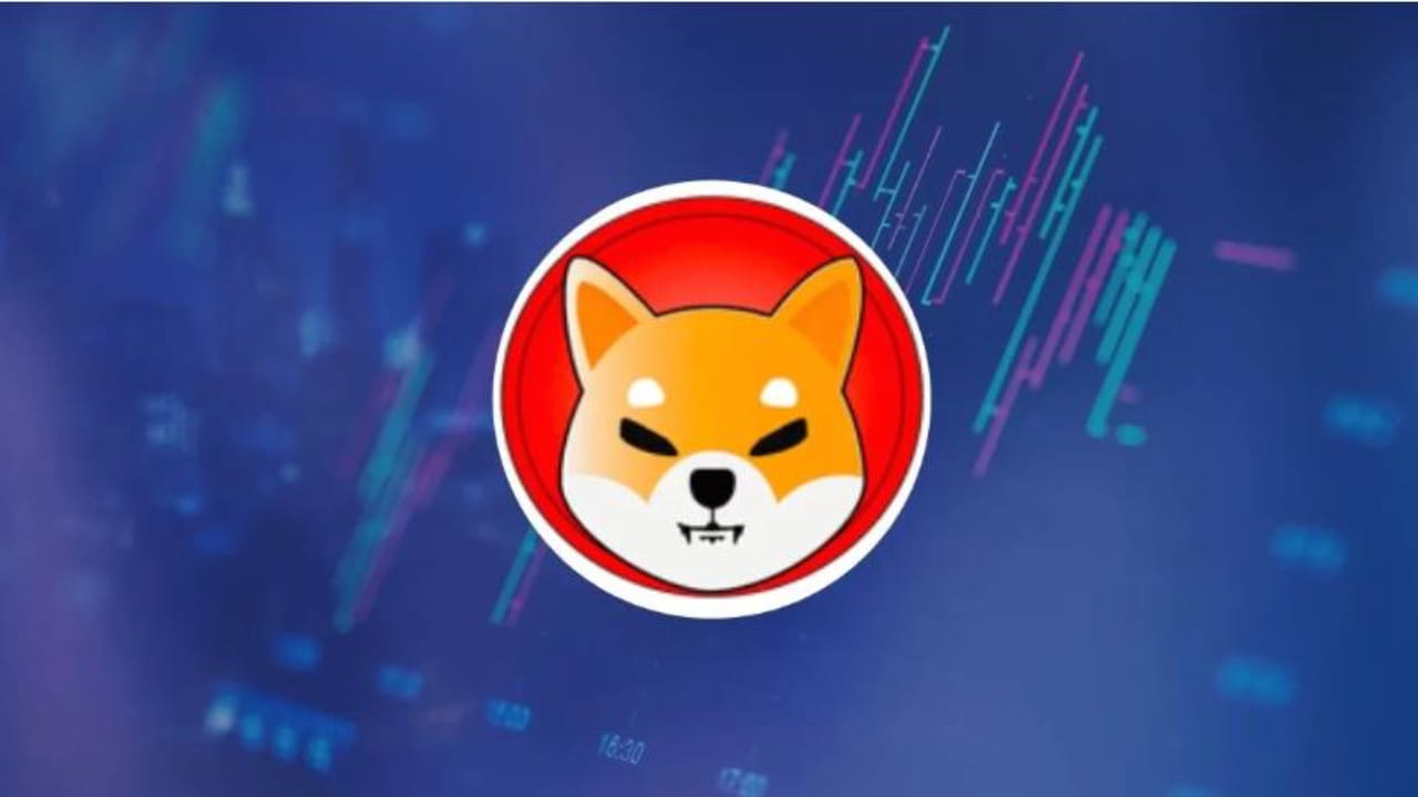 [Rise Community] The mysterious Shiba Inu whale rose $444,000 in SHIB ...