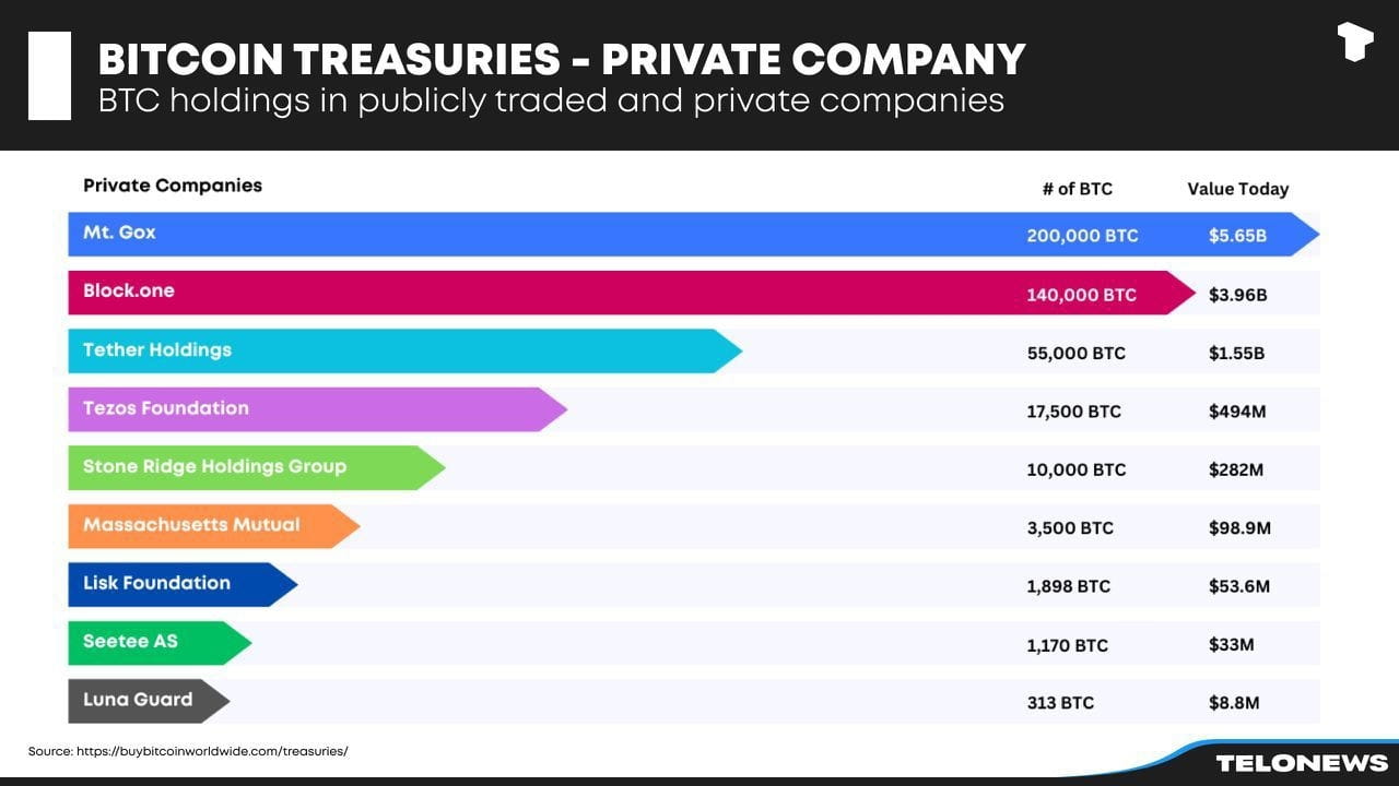 Ranking of Bitcoin Holdings by Private Companies, Public Com | 7703 on ...