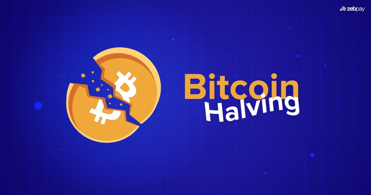 This Is When Bitcoin’s Price Will Break out Before Halving🚀 | The Buzzing Bee on Binance Square