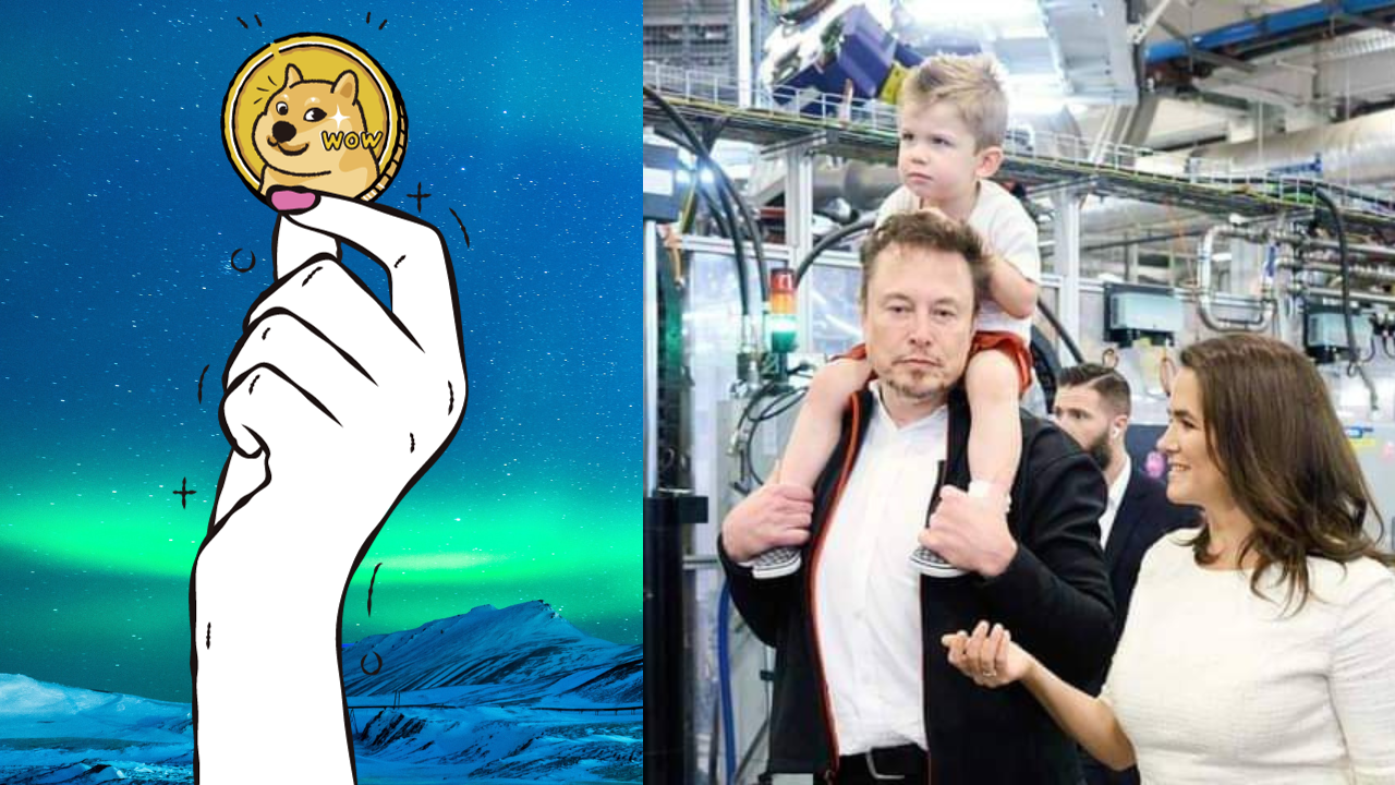 Elon Musk: Bitcoin vs. Dogecoin (Meme Coin) | Kasonso-Cryptography on ...