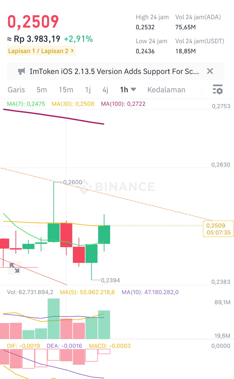 Profil von demsklt | Binance Square