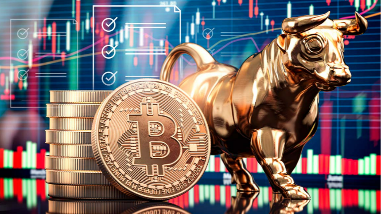 Master the 8 essential skills for the next bull market, and becoming ...