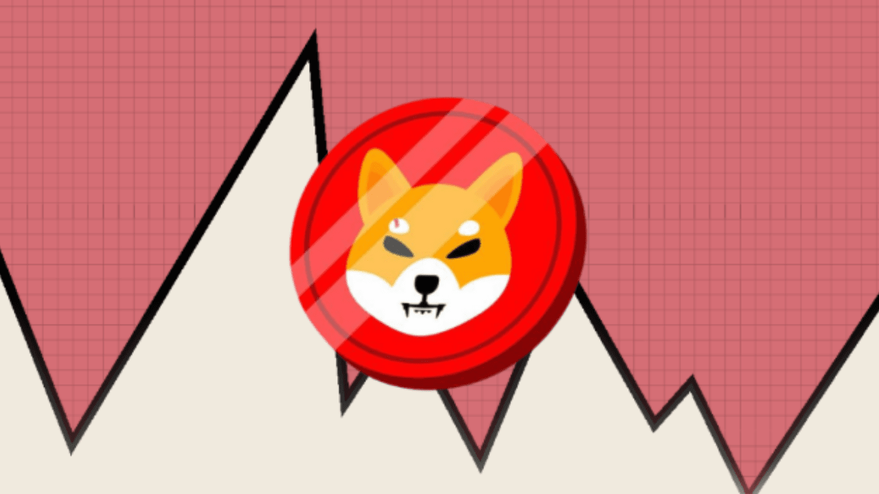 Rise Community: SHIB Price Analysis: Can the Shiba Inu escape the bear ...