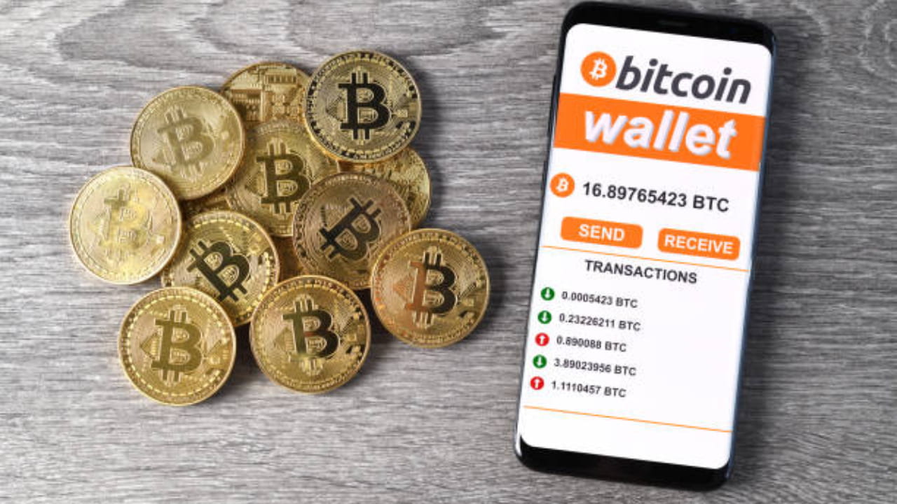 Historic Surge In Large Bitcoin Wallets: 10 BTC Holders Reach New High ...