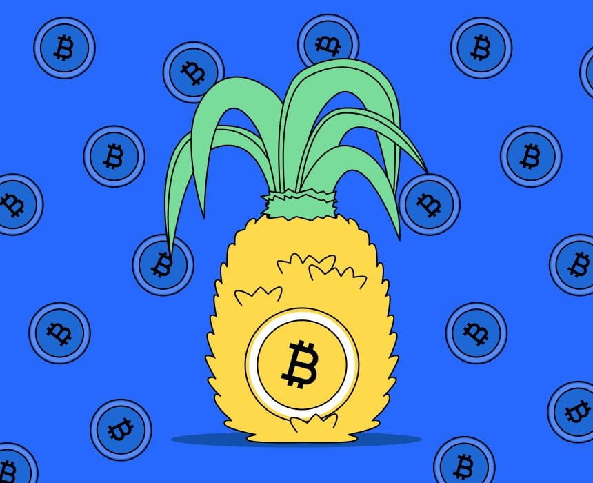 Crypto urban legends: Pineapple Fund Let’s take a look back | GED on Binance Square