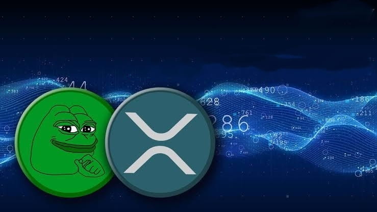 😱👀 Ripple (XRP) CTO Excites PEPE Supporters with Encrypted | Crypto ...