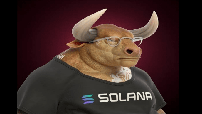 Solana: The Rising Star of Cryptocurrency | Technical BD Team on ...