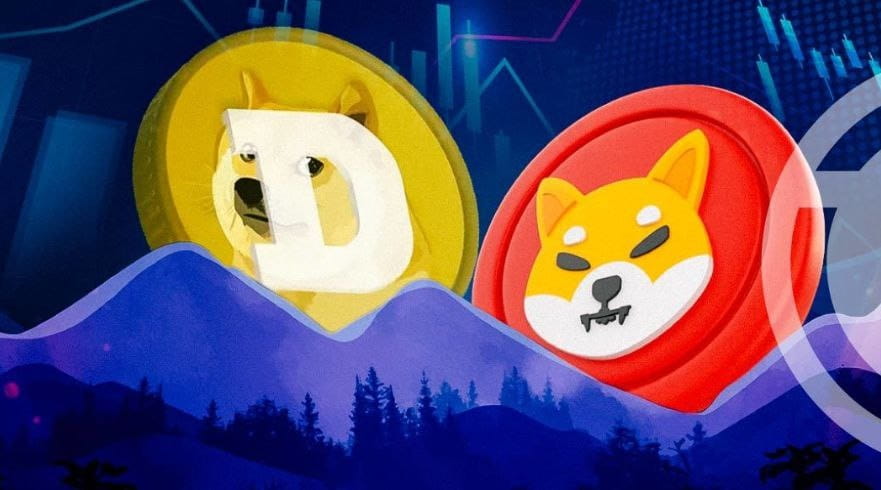 DOGE vs. SHIB: The Meme Coins' Resilience in the Crypto | Crypto Web3 ...
