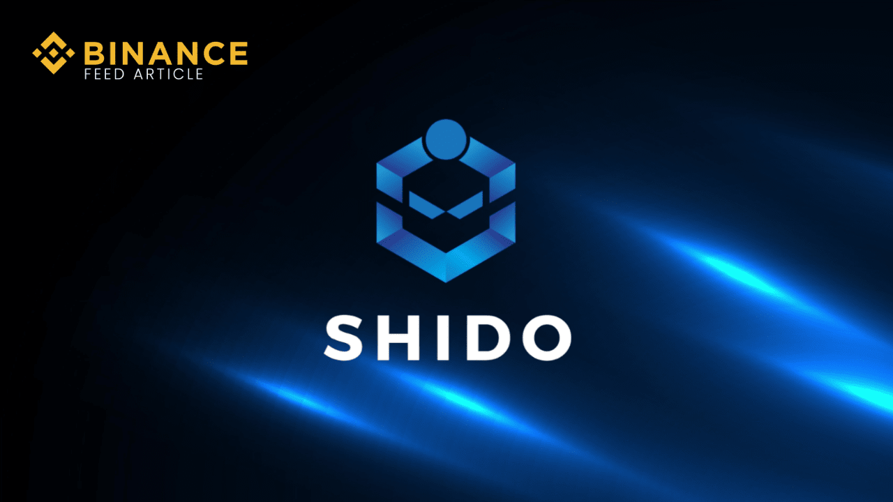 A guide to Cross-Chain DeFi Ecosystem | ShidoGlobal | マキシマリス on Binance Square