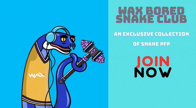 🐍 Enter the "WAX Boring Viper Club" NFT series! 6999 snake | WAX官方中文社区 ...